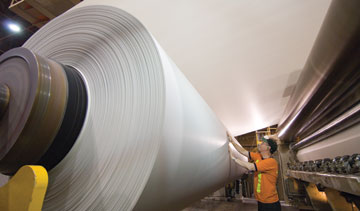 Catalyst extends FSC certification - Supply Professional