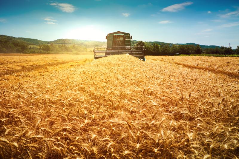World hungry for Canadian grain amid pandemic, with shipments abroad ...